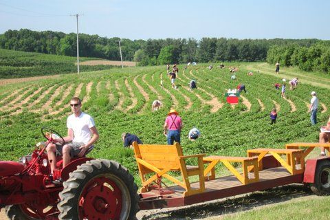 View Shaw Orchards PhotoAlbum